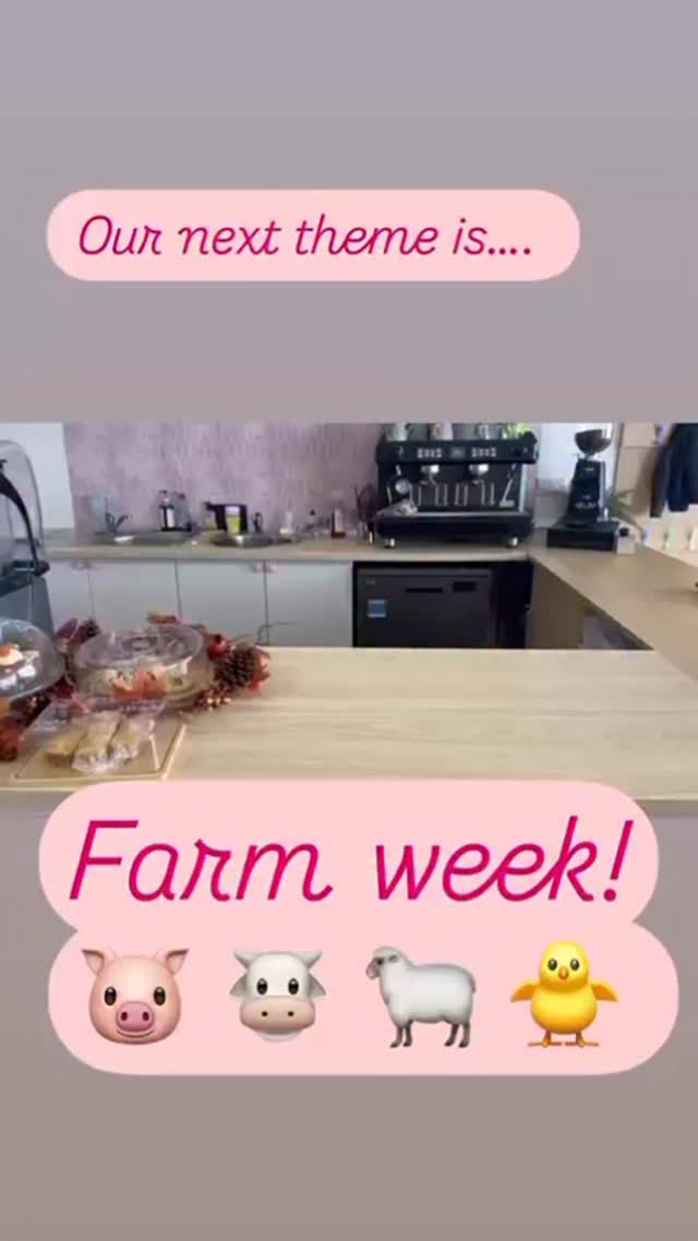 The Square Play Cafe